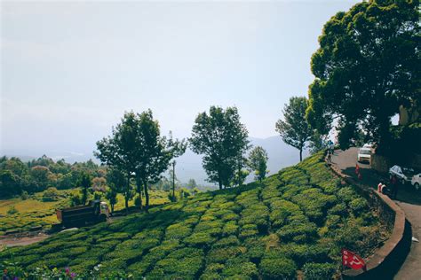 7 Nights 8 Days Kerala Tour Plan Route For A Lovely Vacation