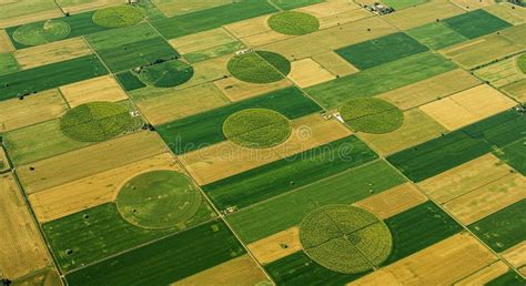 aerial view of agricultural fields featuring distinct circular patterns