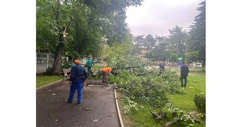 Повалени дървета и счупени клони след бурята в Русе тази нощ