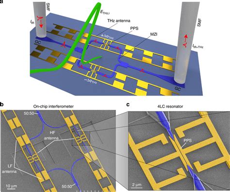 On Chip Terahertz Detector A The Detector Consists Of A Mach Zehnder Download Scientific