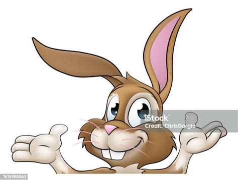 Easter Bunny Rabbit Cartoon Character Peeking Sign向量圖形及更多兔 動物圖片 兔