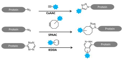 Click Chemistry And Its Applications In Medicinal Chemical Synthesis