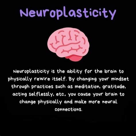 Neuroplasticity Artofit