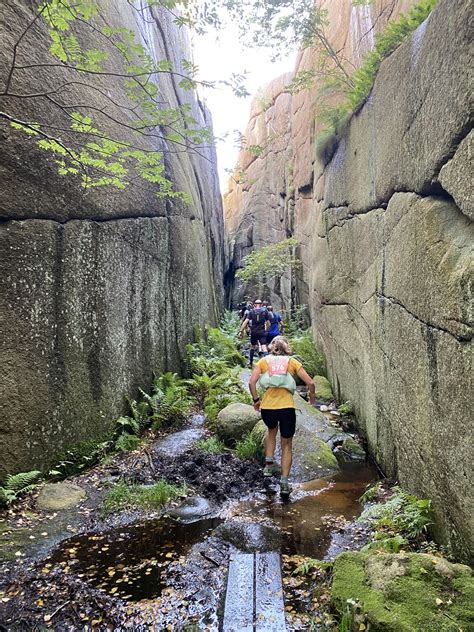 Icebug Fenna Van De Merwe 11 Comments