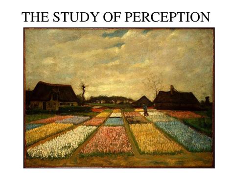Ppt The Study Of Perception Powerpoint Presentation Id453197