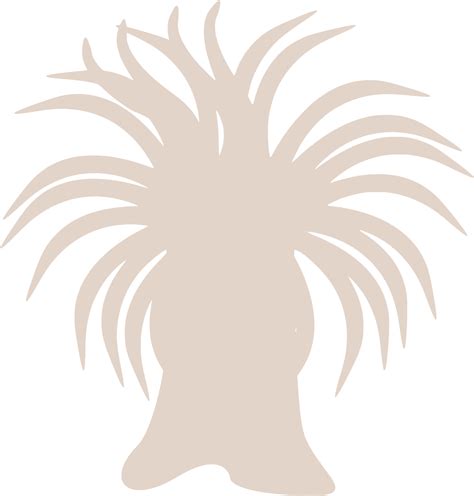 Svg شقائق النعمان رسوم متحركة بحر صورة Svg And أيقونة Svg Silh
