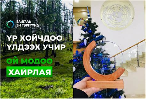 НҮБ аас Экологийн цагдаагийн албыг шагнажээ Newswall