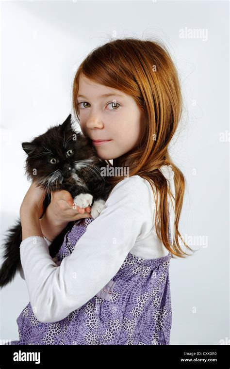 Acht Von Zehn Katzen Fotos Und Bildmaterial In Hoher Auflösung Alamy