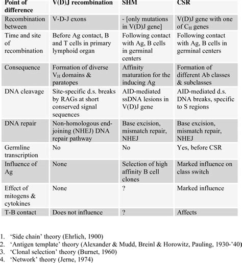 Differences Among V D J Recombination Somatic Hypermutation Shm And Download Scientific