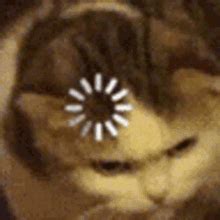 Loading Cat Loading Loading Catloading Loadingcat Vrogue Co