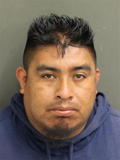 Our Sex Crimes Orange County Sheriffs Office Florida