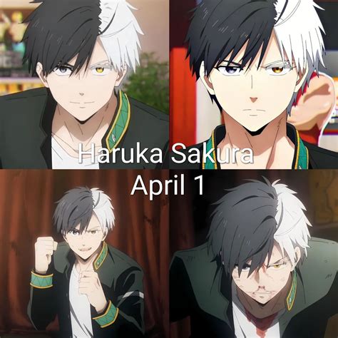 Sting Birthday Windbreaker Anime Harukasakura Hajimeumemiya