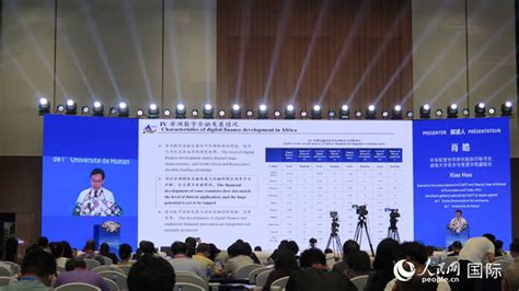 中非经贸合作智库研讨会发布《非洲数字经济发展指数与中非数字经济合作报告》 湖南省 进行