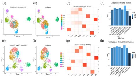 Clustering Evaluation On The Mouse Forebrain Data Based On Different Download Scientific
