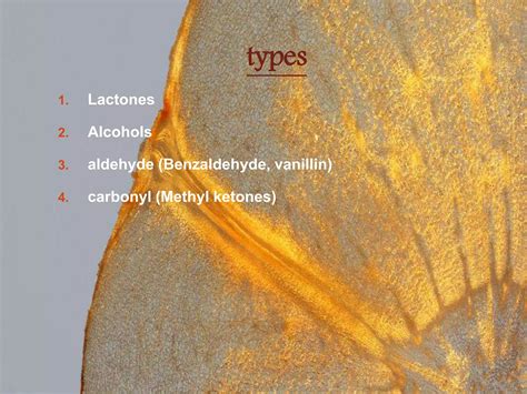 Microbial Flavors Production Pptx