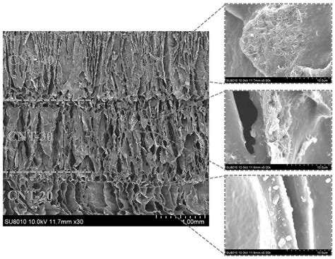 Low Reflection And High Absorption Electromagnetic Shielding Polymer