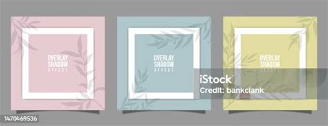 사실적인 그림자가 있는 정사각형 종이 모형은 나뭇잎을 오버레이합니다 열대 식물의 벡터 그림자 템플릿 전단지 포스터 공백 소셜 미디어 게시물 트렌디 한 스타일의 로고 템플릿