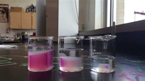 Ap Lab Osmosis And Diffusion At Michael Birdwood Blog