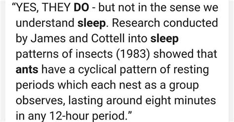 Do Ants Sleep Album On Imgur