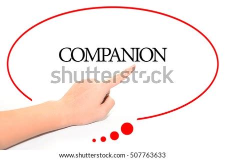 Companion Stock Photos Royalty Free Images Vectors Shutterstock