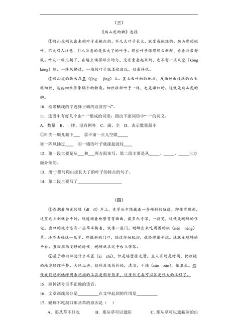 统编版四年级上册语文阅读理解专题训练（含答案） 21世纪教育网