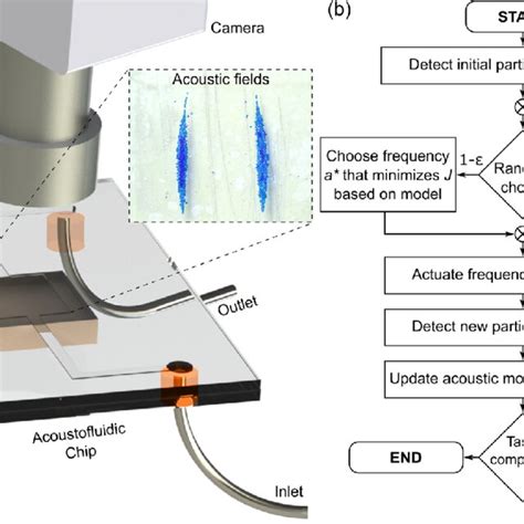 A Schematic Diagram Of The Experimental Setup B Flowchart Of The Download Scientific Diagram