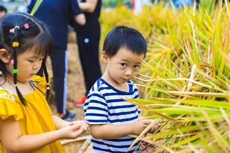 田园艺术节丨找回无忧无虑的童年时光再来这儿当一回孩子吧 搜狐大视野 搜狐新闻