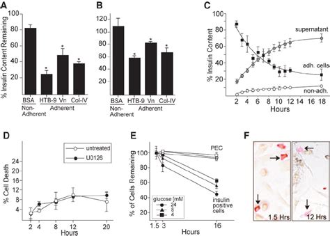 Adhesion To Vitronectin And Collagen Iv Induces A Significant Loss Of