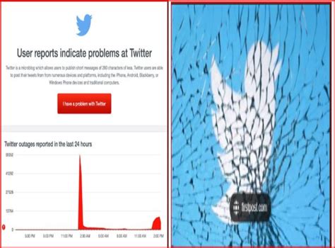 Elon Musk Sets Temporary Twitter Limits On Usage Users Had Short Term