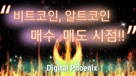 비트코인 알트코인 매수 매도 시점 Youtube