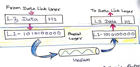 Networkingdccn Osi Reference Model