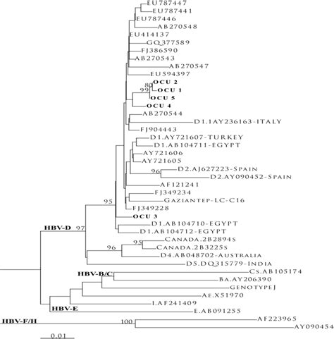 Phylogenetic Tree Constructed By The Nucleotide Sequences Of The S
