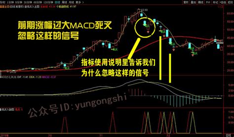 强势龙头股逢低买入回调阴线买入点高成功率选股票指标公式翔博软件