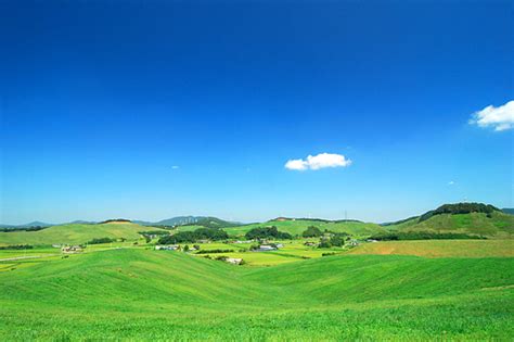 초원 풍경 유토이미지 상세페이지 베이직샵 사진 20581158