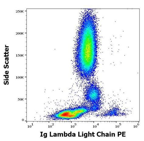 1p 673 T025 Anti Human Ig Lambda Light Chain Pe Clone 1 155 2