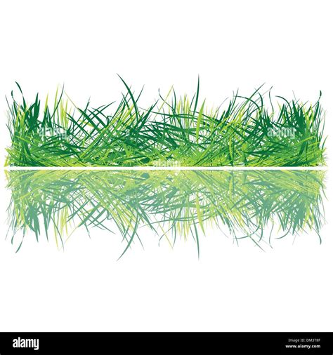 Long Grass Background Stock Vector Images Alamy