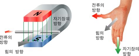 비비디바비디부