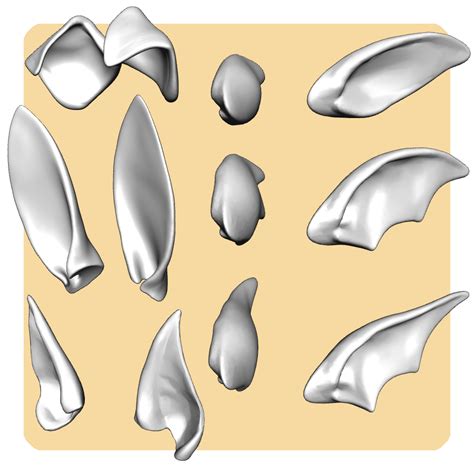 Csp 3d Ear Reference Models By Trashbambi