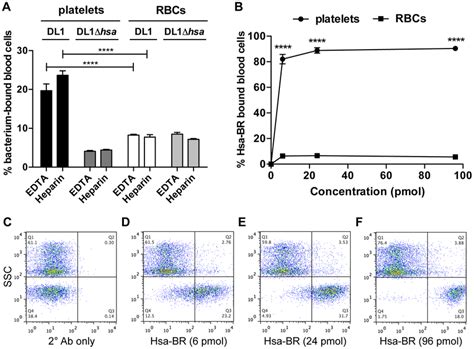 Divalent Cation Effect On Bacterial Binding And Preferential