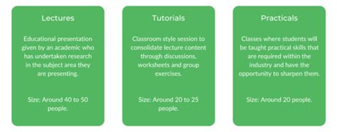 What Its Like Studying A Bachelor Of Computer Science At Wsu