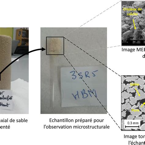 1 Aashto Classification Chart Download Table