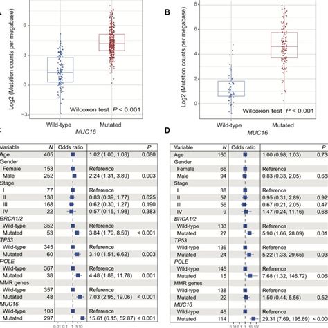 Correlation Of Muc16 Mutations With Tumor Mutational Load In 2 Cohorts