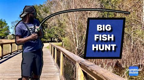 Lets Go Catch A Big Florida Bass Summer Bank Fishing Bass Manager