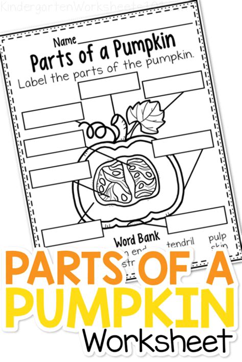 Free Pumpkin Printable Learning Activities Worksheets Library