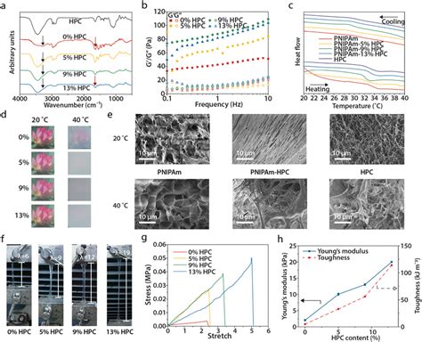 A FTIR Spectra For Pure HPC Pure PNIPAm PNIPAm5 HPC PNIPAm9 Download Scientific Diagram