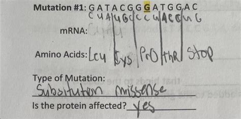 solved mutation 1 g a t a c g g g a t g g a c mrna amino