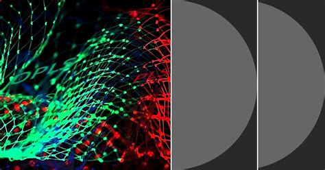 List Education Curated By Kirill Gu Medium