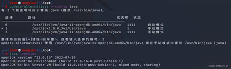 Kali安装jdk8和切换jdk版本和40版本冰蝎的使用kali安装java8 Csdn博客