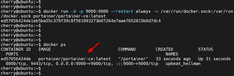How To Install Portainer On Ubuntu 22 04 Cherry Servers