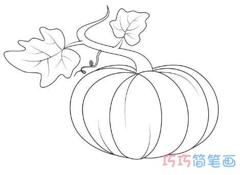 怎么画南瓜简笔画 简单大南瓜的画法图片 巧巧简笔画